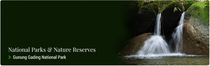 Gunung Gading National Park | Sarawak Forestry Corporation